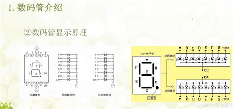 实验5：数码管实验，51单片机 Csdn博客