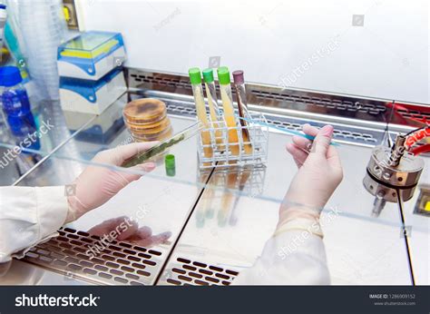 157 Trichoderma Gambar Foto Stok And Vektor Shutterstock