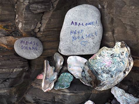 Abalone Shells Mendonoma Sightings
