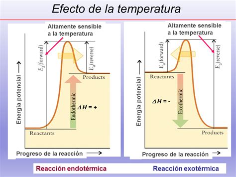 Cinética Química Presentación Powerpoint Página 2