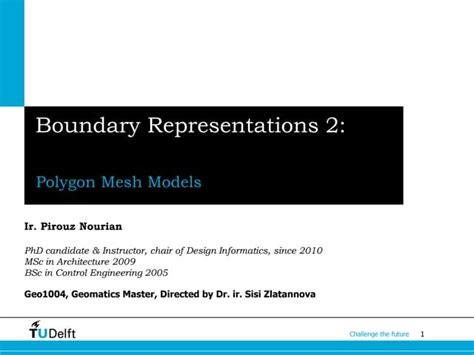 polygon mesh representation pdf