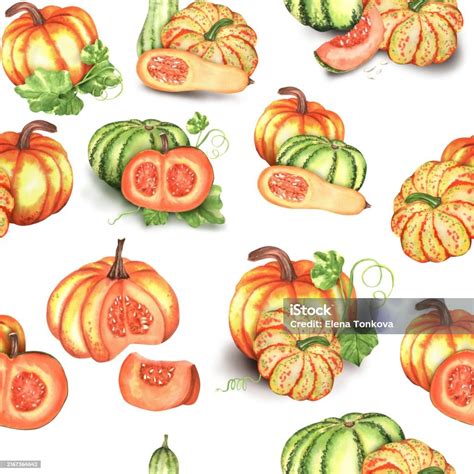 밝은 주황색과 녹색 호박 호박 버터넛 스쿼시 및 녹색 잎으로 구성된 완벽한 패턴 가을 패턴 견본 가 배경입니다 손으로 그린 수채화 그림 가을에 대한 스톡 벡터 아트 및 기타
