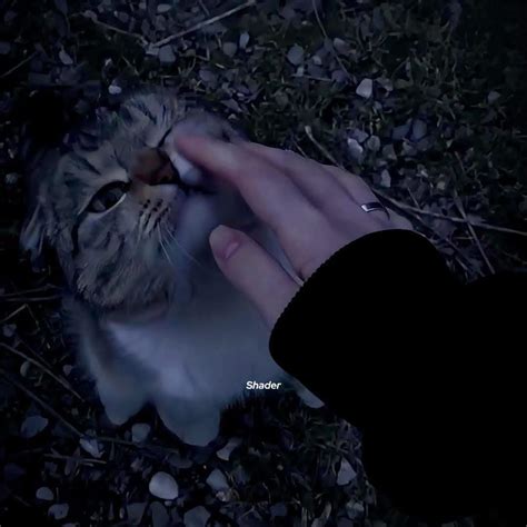 𝙎𝙝𝙖𝙙𝙚𝙧