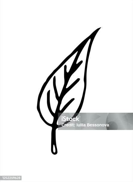 낙서 스타일의 식물 잎의 벡터 손으로 그린 그림 흰색 배경에 격리된 빈 윤곽선입니다 스크랩북 색칠 공부 책 및 테마 디자인을위한 간단한 디자인 가을에 대한 스톡 벡터 아트