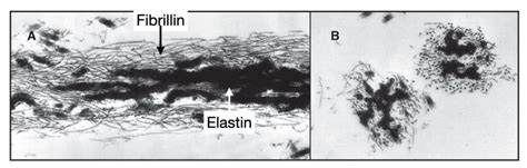 Scientific Foundations