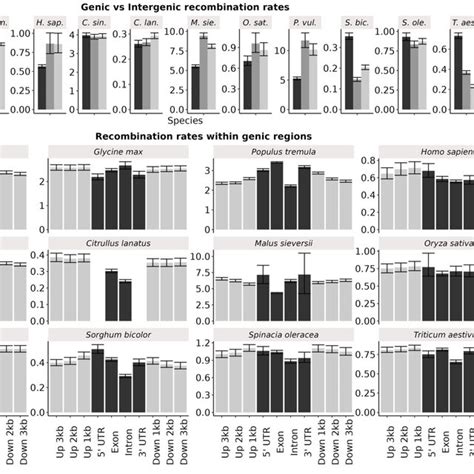Variations In Recombination Rates ρkb Around And Within Genes A