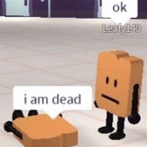 Average Leafy Rroblox