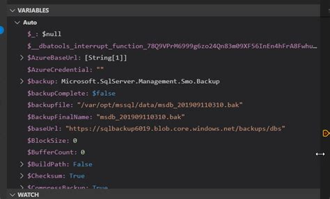 Bug Backup Dbadatabase To Azure Url Subfolders · Issue 6019 · Dataplatdbatools · Github