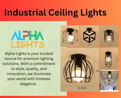 Black Cage Ceiling Light Hallway Ceiling Lights Cage Ceiling Lamp