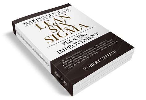 New Book Making Sense Of Lean Six Sigma Process Improvement Robert Setiadi Website