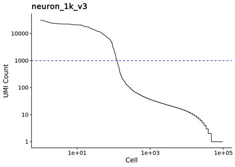 R Knitr Render Missing Labels In Ggplots Stack Overflow