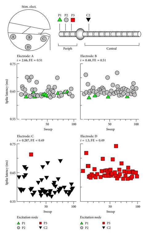 Spike Latency Across Sweeps Each Symbol Represents An Excitation Node Download Scientific