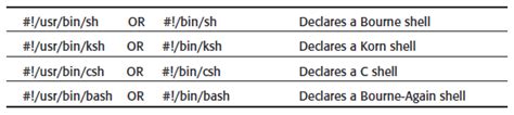 Introduction To Shell BunksAllowed
