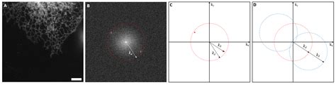 Ml Sim A Deep Neural Network For Reconstruction Of Structured