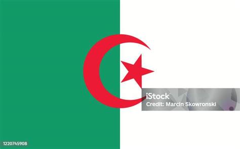 알제리 플래그 벡터 그래픽입니다 사각형 알제리 플래그 그림입니다 알제리 국가 플래그는 자유 애국심과 독립의 상징이다 0명에 대한 스톡 벡터 아트 및 기타 이미지 Istock