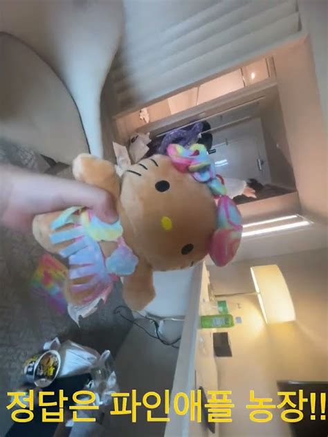 산리오 모음집 ️ 귀여움주의 Youtube