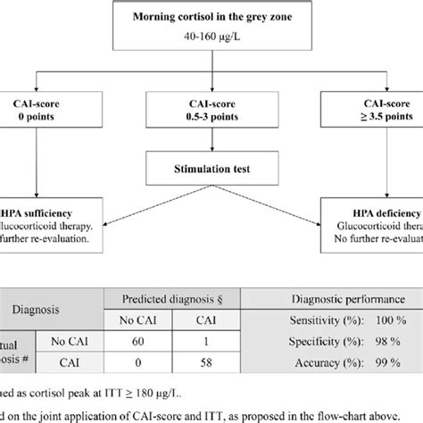 Proposed Flow Chart For The Diagnosis Of Cai When Morning Cortisol Is Download Scientific