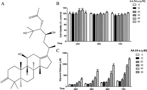 Effects Of Aa 24 A On Lipolysis And Triglyceride Accumulation In