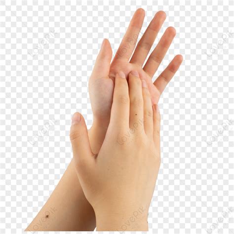 손 제스처 모델링몸짓수족수화 Png 일러스트 무료 다운로드 Lovepik