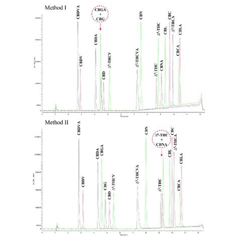 Chromatographic Analysis Internal Standard At Loretta Cyr Blog