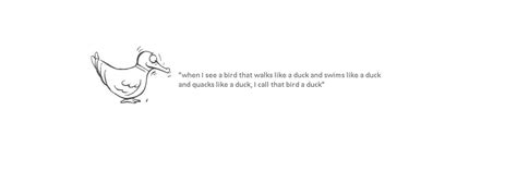 Type Checking Nedir Koray Peker