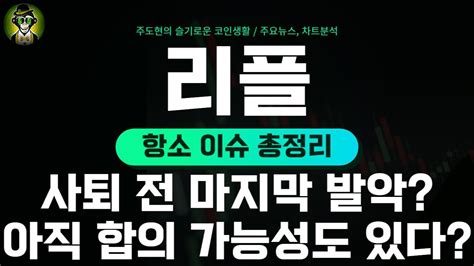 리플 세금 낭비 멈추고 합의하면 베스트 Youtube