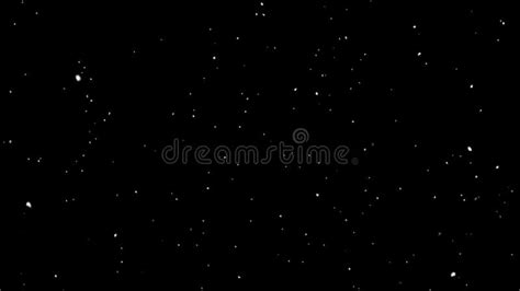 Snow Flakes Overlay Black Background Winter Slowly Falling Snow Effect Stock Footage Video