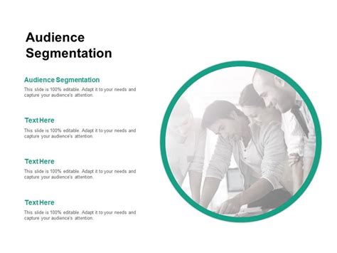 Audience Segmentation Ppt Powerpoint Presentation File Pictures Cpb