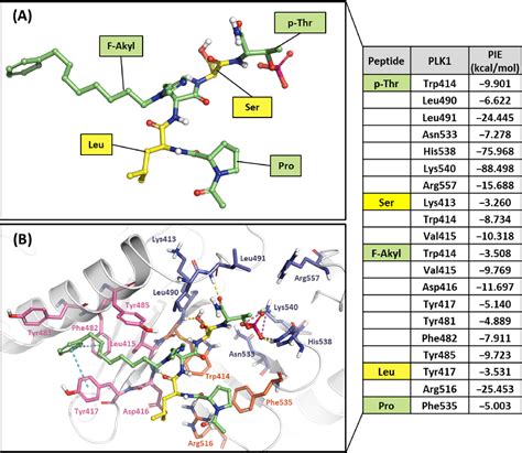 Figure 1 From Leveraging The Fragment Molecular Orbital Method To Explore The Plk1 Kinase