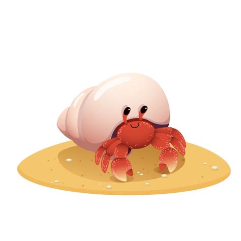 Premium Vector Cute Cartoon Hermit Crab Crawling On The Beach On White Background