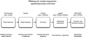 Workshop Materials MRNA Seq At Michigan State University RNA Seq Blog