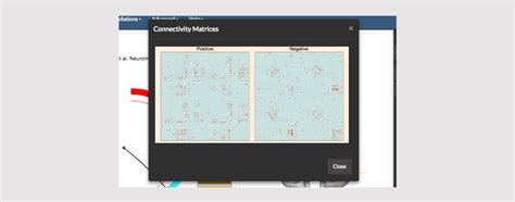 The Connectivity Visualization Tool Bisweb Manual