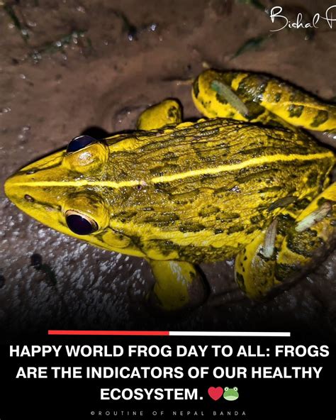 Routine Of Nepal Ronb Breaking Neb Class 12 Exam Routine Has Been