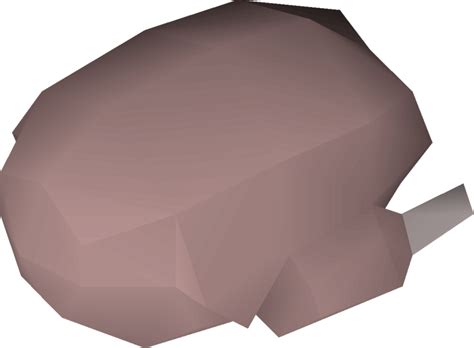 Raw Bird Meat Osrs Wiki