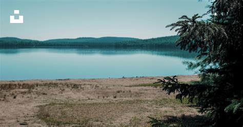 Green Leafed Tree Near Ocean During Daytime Photo Free Beach Image On