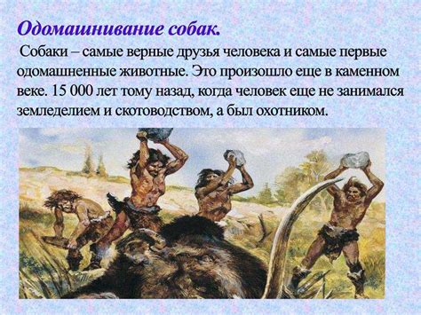 Про кошек и собак - презентация онлайн