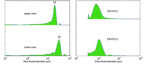 A Pore Size Distribution Obtained From High Pressure Mercury Injection