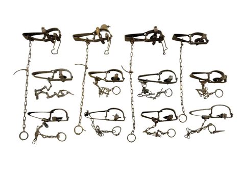 Small Game Traps Lot