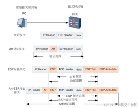 IPSec基础知识 CSDN博客