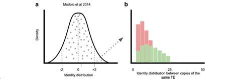 a pairwise genome wide nucleotide identity distribution extracted from download scientific