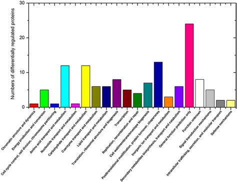 Clusters Of Orthologous Groups Of Proteins Cog Classification Of The