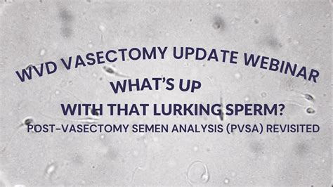 Whats Up With That Lurking Sperm Post Vasectomy Semen Analysis 2nd