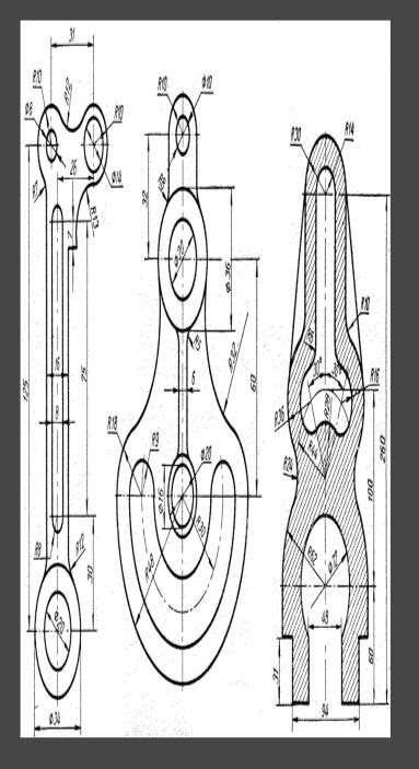 Picture Bug Limitation Rhino Mcneel Forum