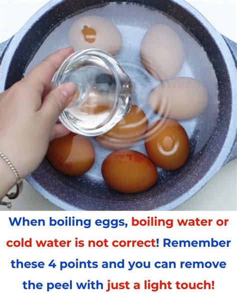 When Boiling Eggs Boiling Water Or Cold Water Is Not Correct Remember These 4 Points And You