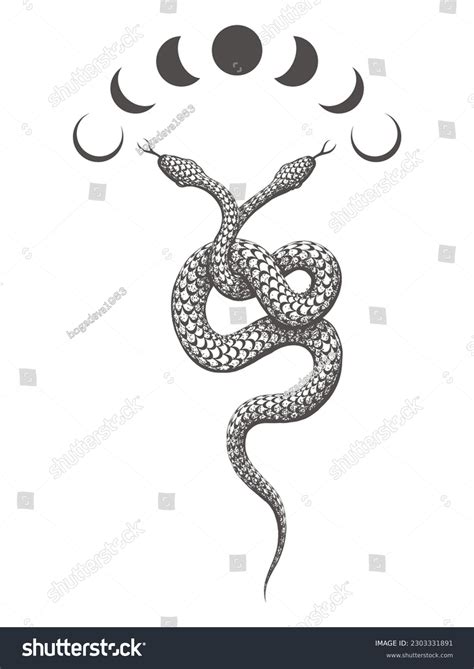 Two Headed Snake Coloring Page Snake Head With Piercing Gaze Snake