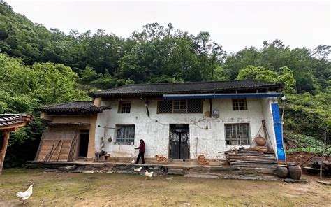 去后山我伯家喂鸡喂狗捡鸡蛋雨后地软多回来路上和我妈拾了些 山野涛声 山野涛声 哔哩哔哩视频