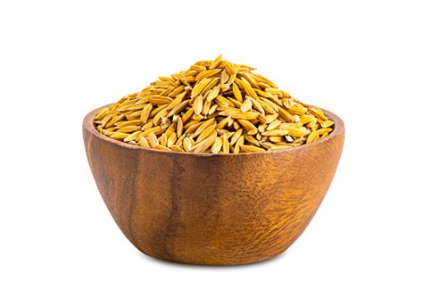 흰색 배경에 격리된 나무 그릇에 담긴 건조한 갓 수확한 벼의 측면 보기 근접 촬영 더미 0명에 대한 스톡 사진 및 기타 이미지 0명 갈색 건강한 식생활 Istock