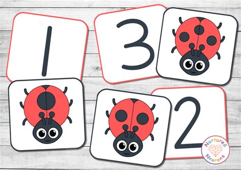 Ladybug Counting Game A Preschool Number Matching Activity Nurtured