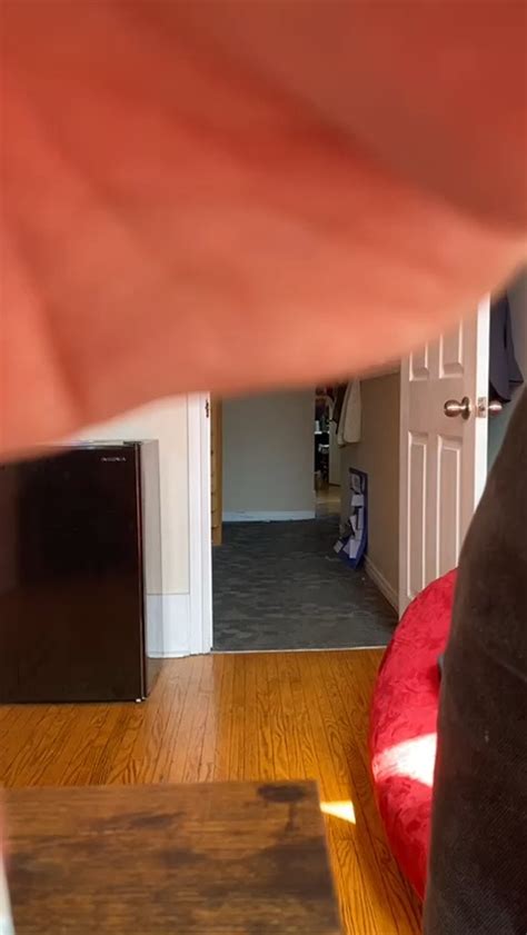 Exercise Frame Labelling Classification Model By Yolov8 Training