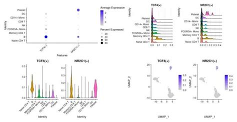 Python版scenic转录因子分析（四）一文就够了 · Issue 3147 · Ixxmumpduty · Github